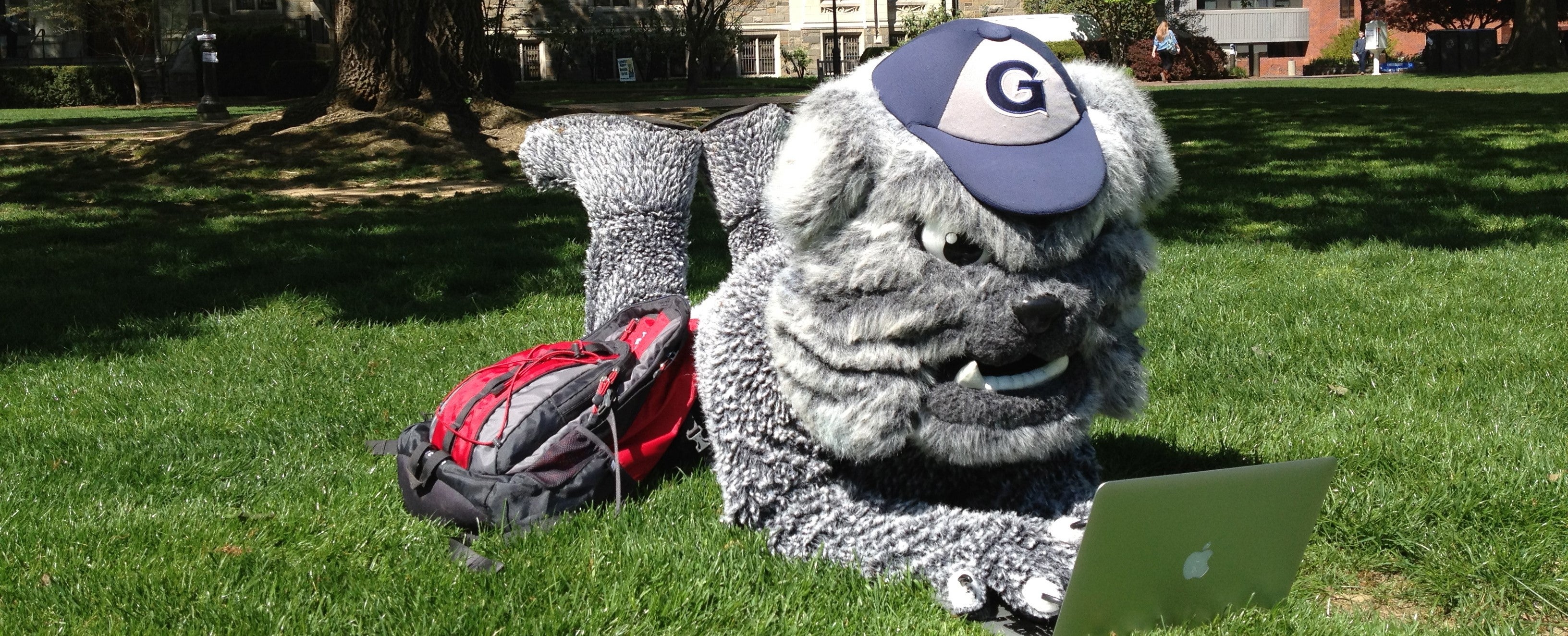 Continuing Undergraduate | Office of Student Financial Aid | Georgetown ...